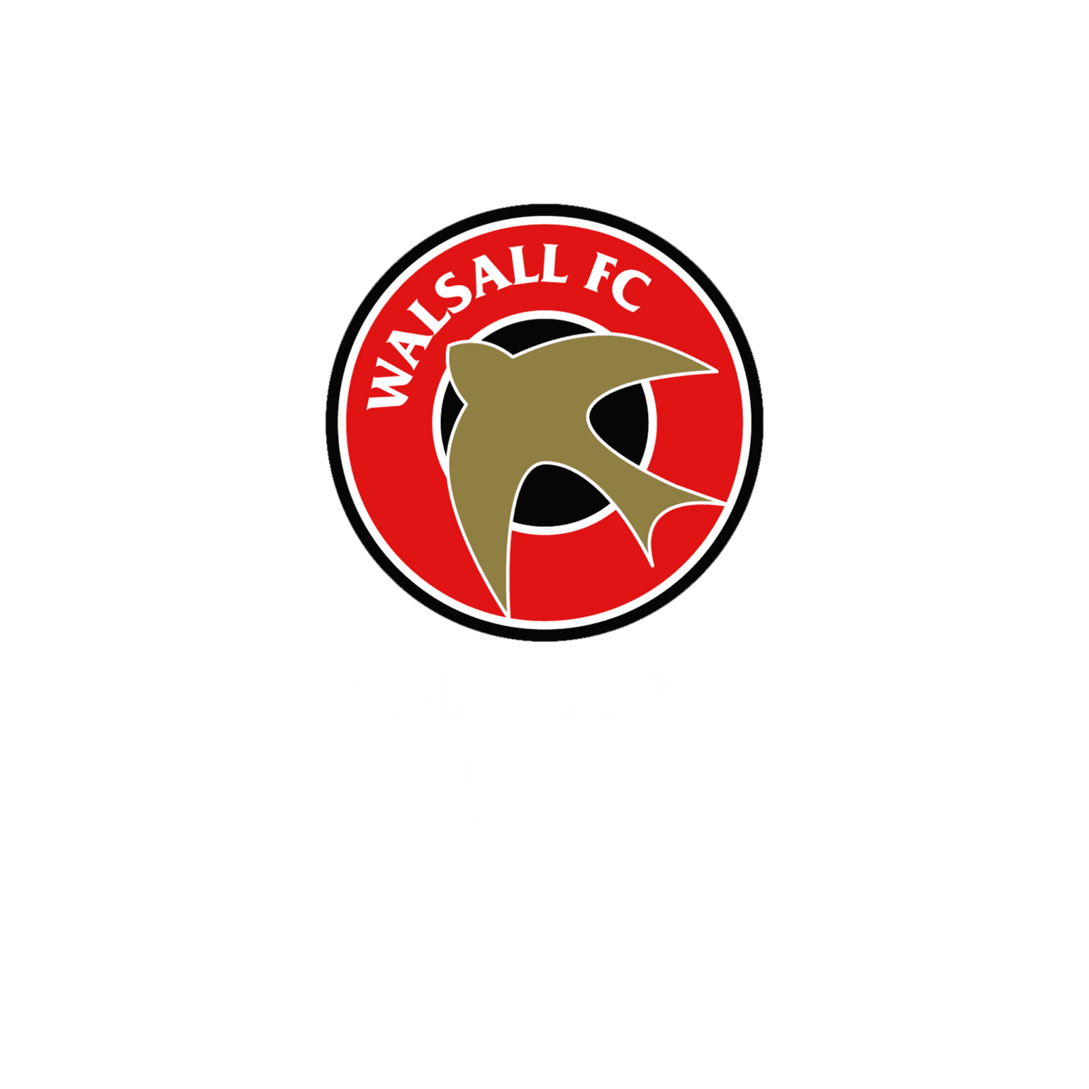 Josh Gordon and Sam Hornby share the Joy of Moving • Walsall FC Foundation